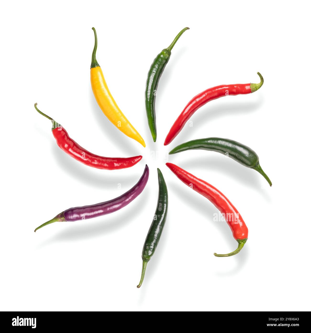 Ring of fire formed by fresh chili peppers. Cayenne peppers, colorful ...