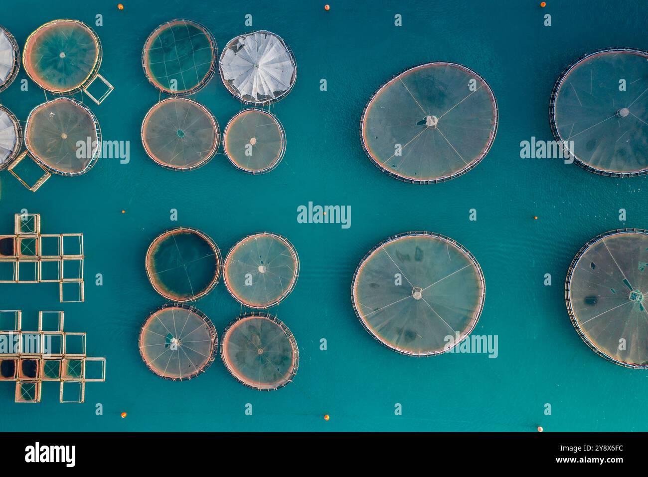 Drone top view of floating circular fish farms on the sea of Greece ...