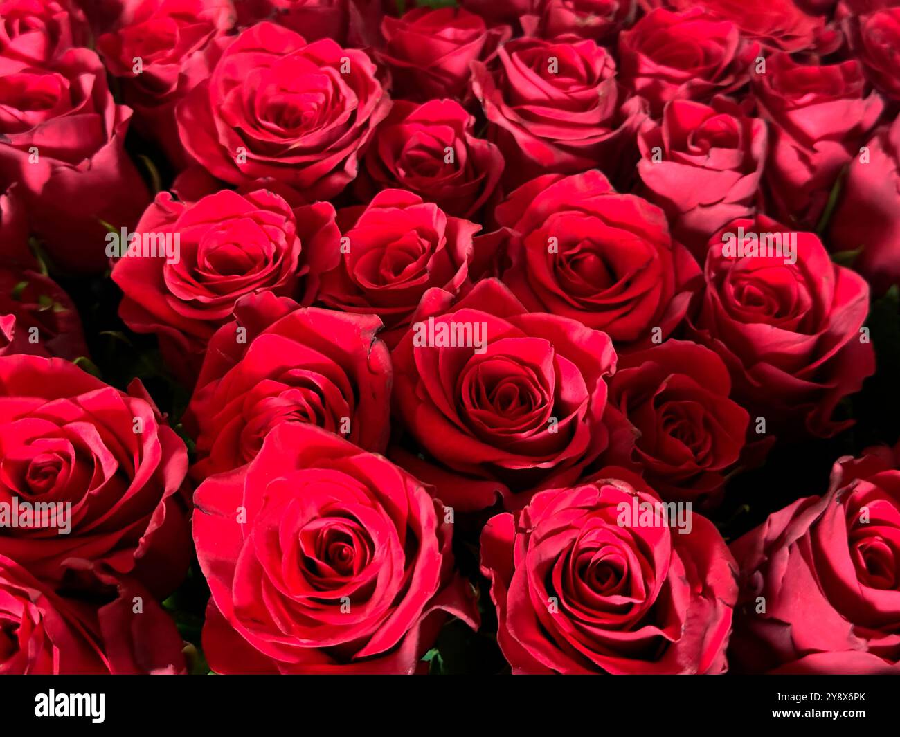Beautiful bouquet big red hi-res stock photography and images - Alamy