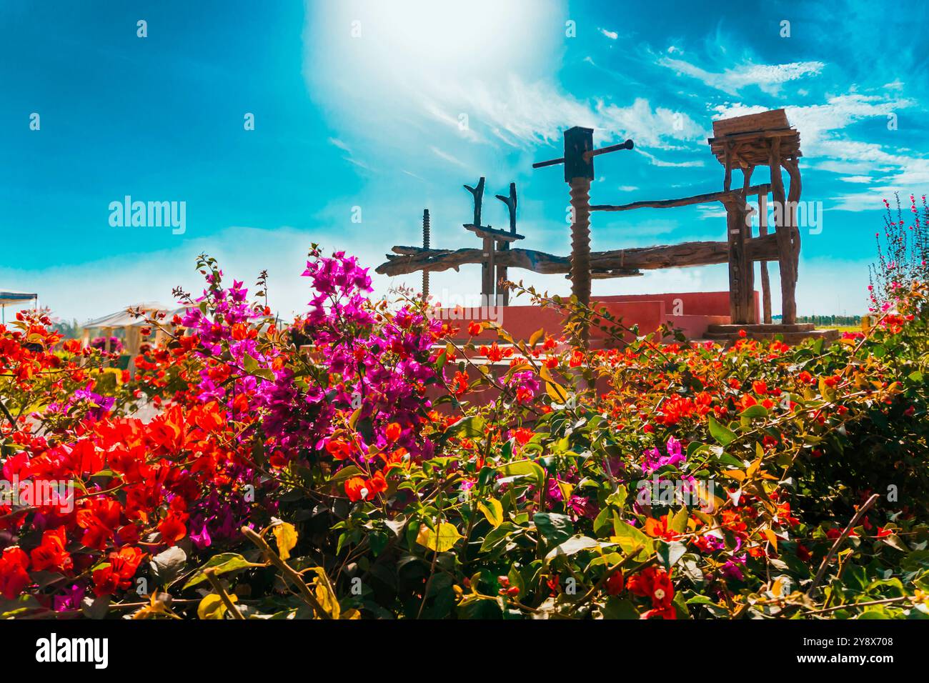 Old grape mill at Hacienda Tacama, Ica Peru Stock Photo - Alamy