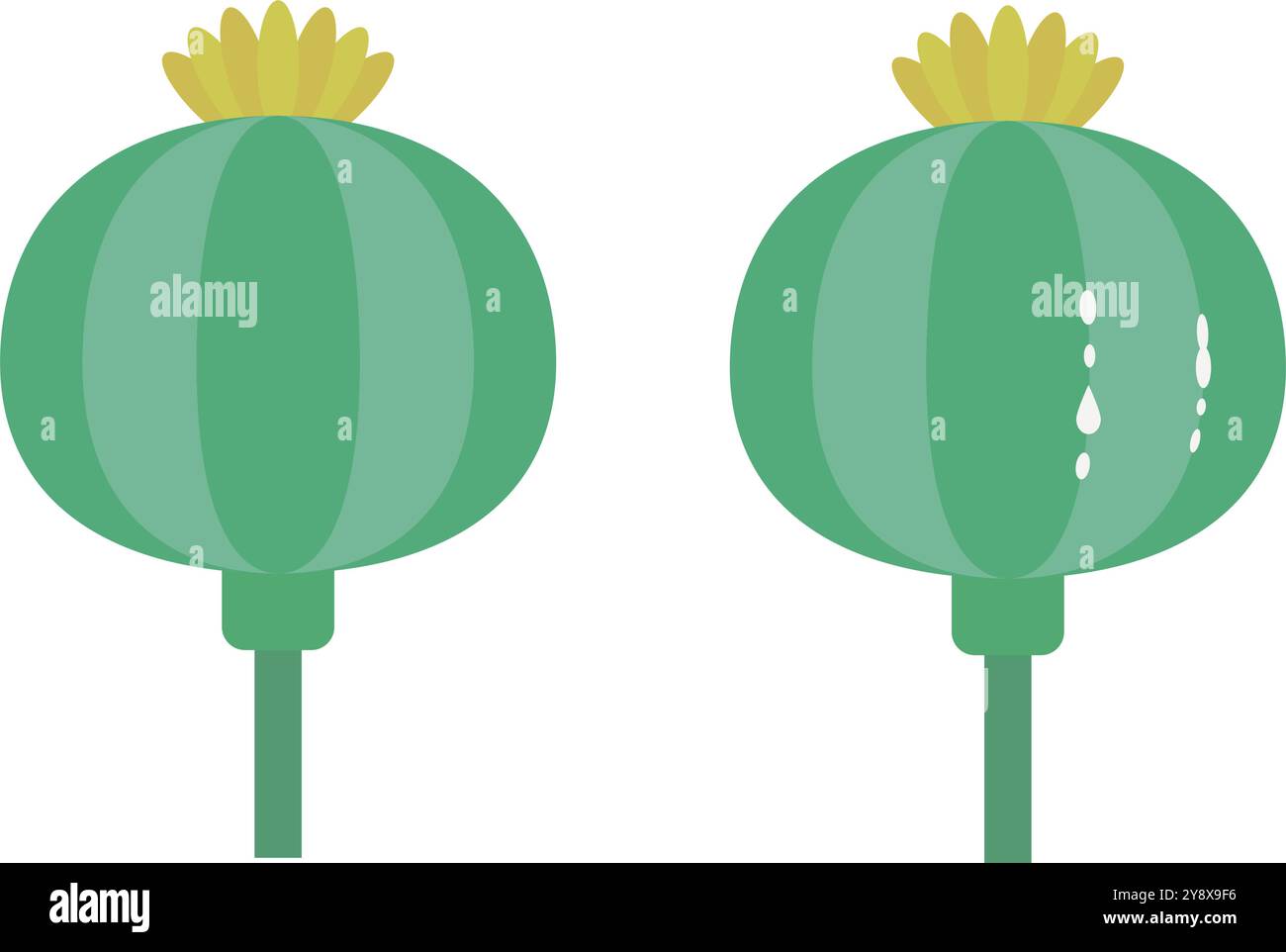 Opiate addiction Stock Vector Images - Alamy