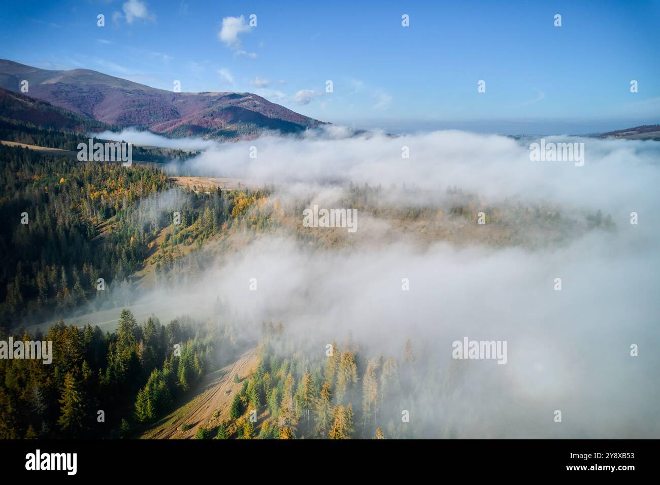Stunning landscape with dense forests and rolling hills partially ...