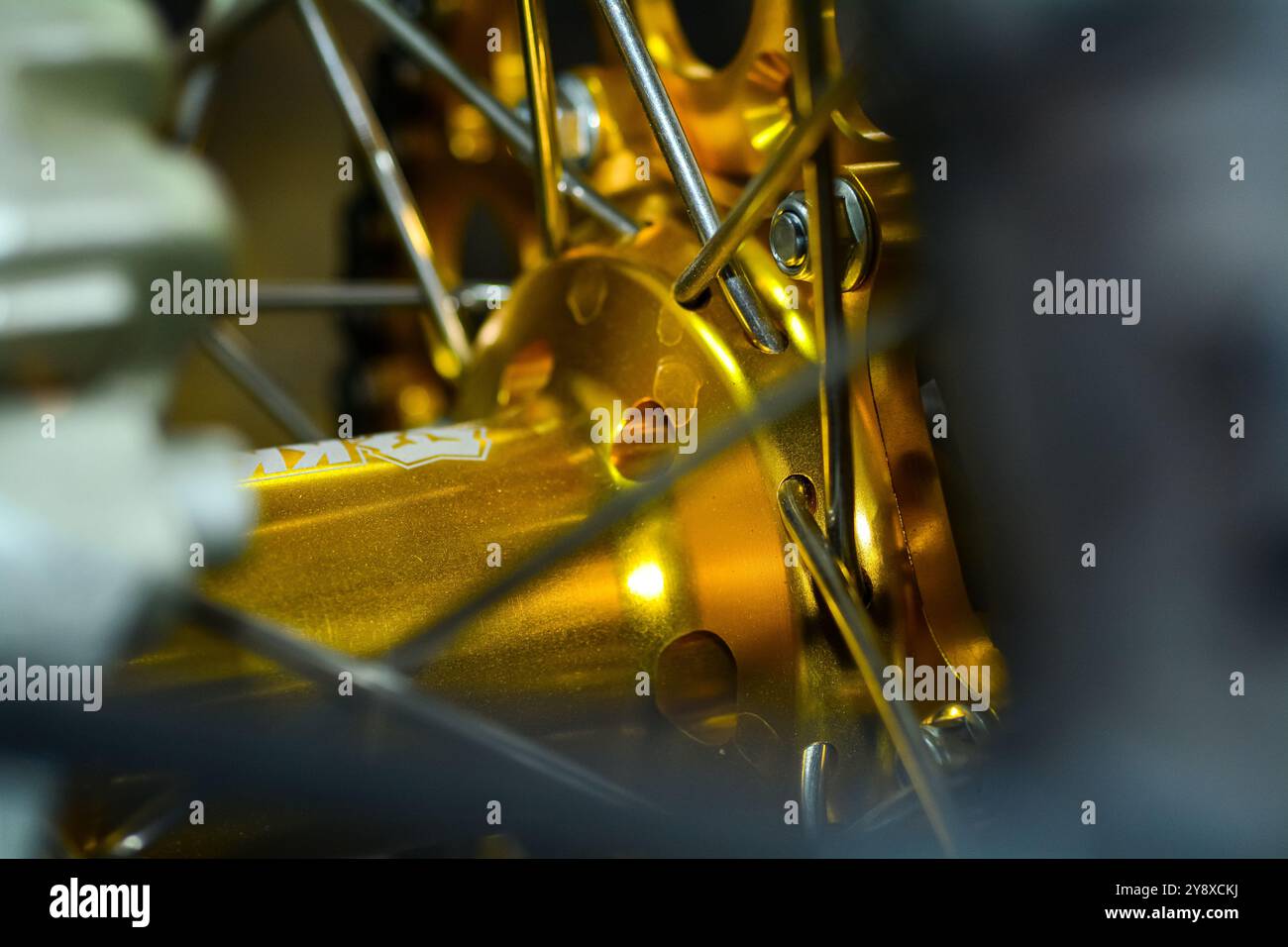 Motorcycle rear set, rim, caliper, disc, wires and brake system Stock ...