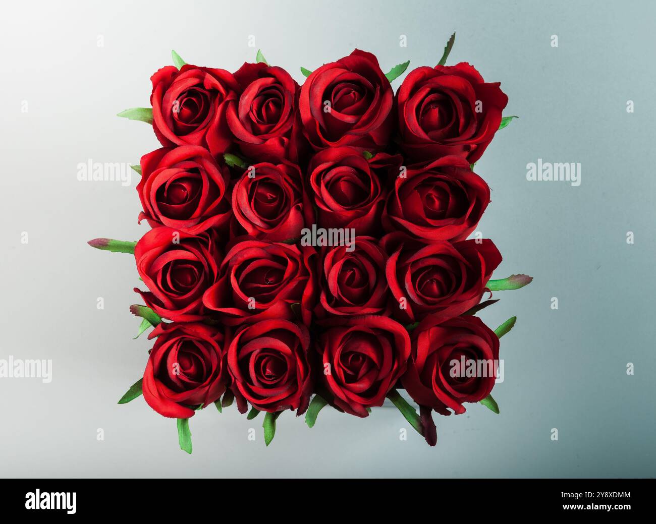 Birds eye view of roses hi-res stock photography and images - Alamy