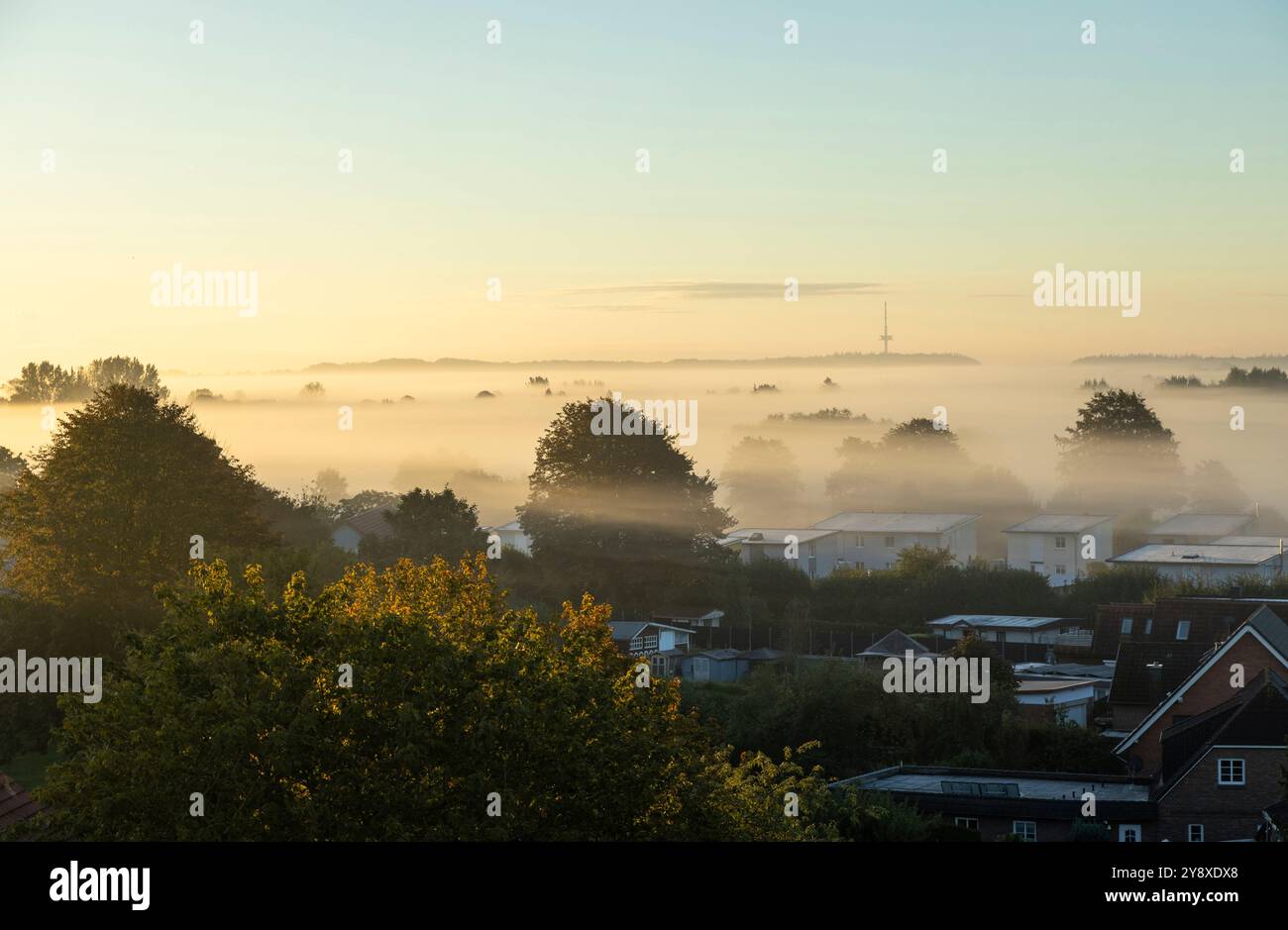 The mysterious misty atmosphere in the early morning hours was ...