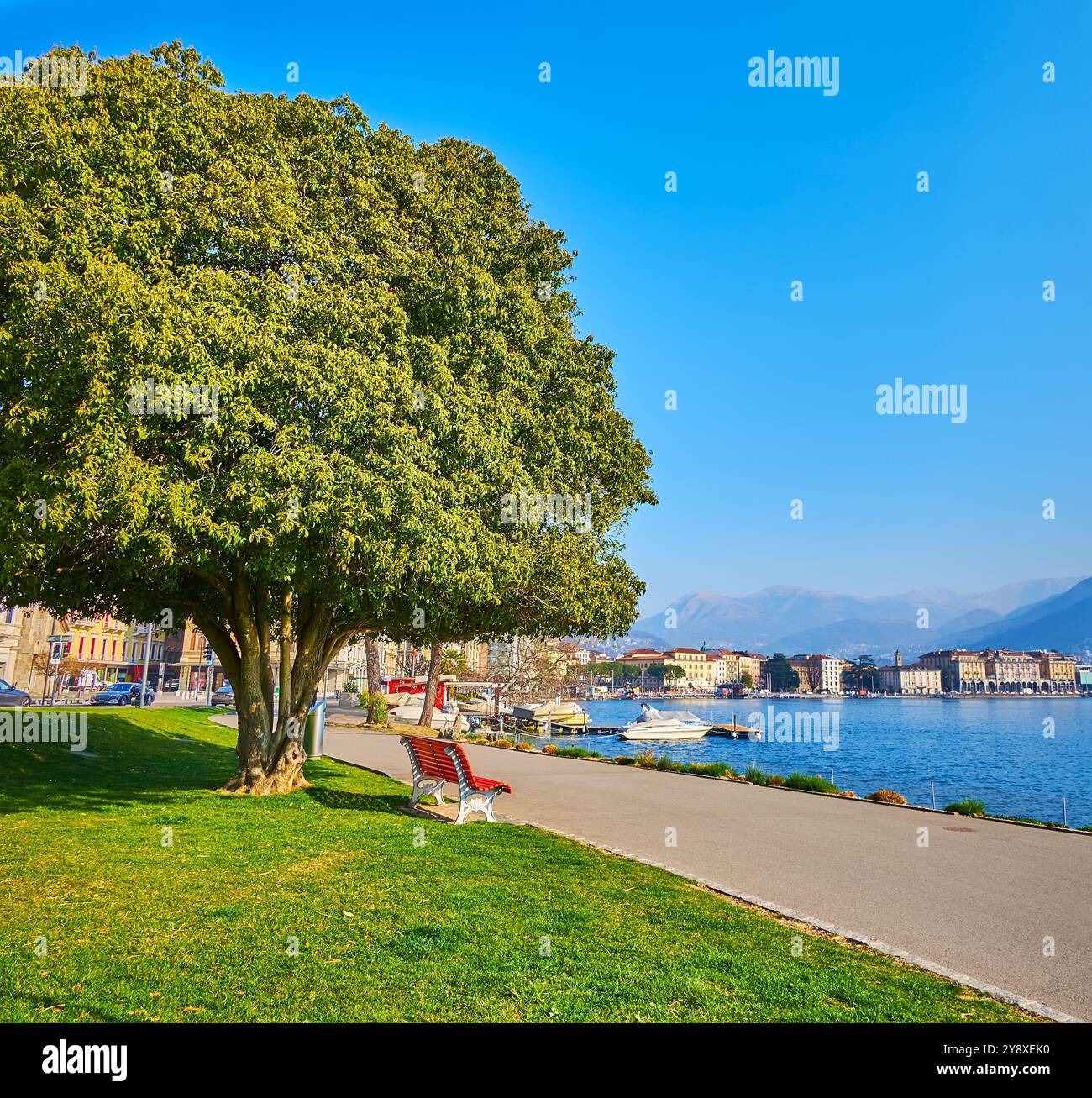 The lush trees and green lawn in a beautiful Ceresio lakeside park in ...