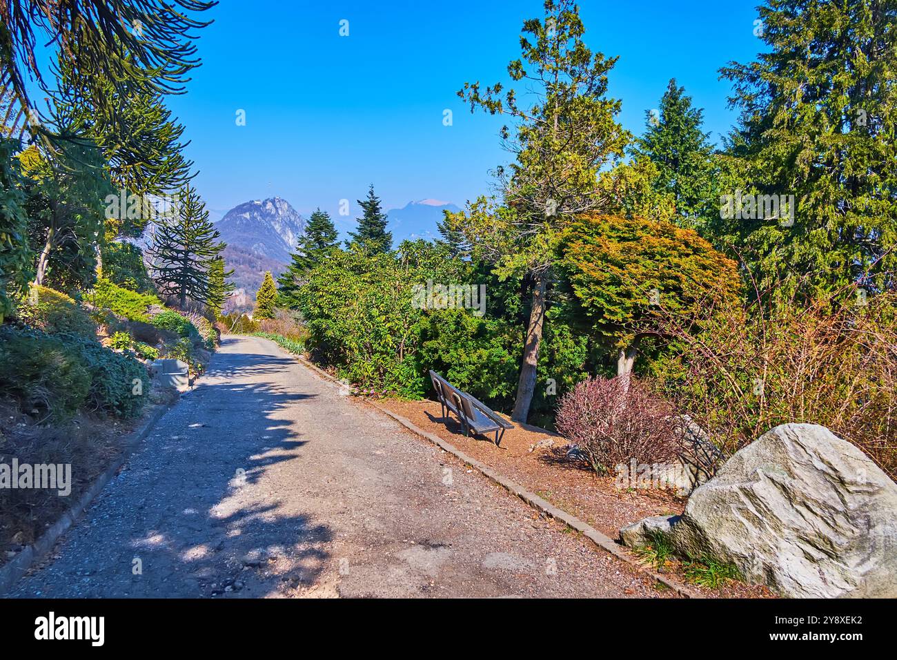 Enjoy the day walk in a beautiful Parco San Grato with a collection of ...