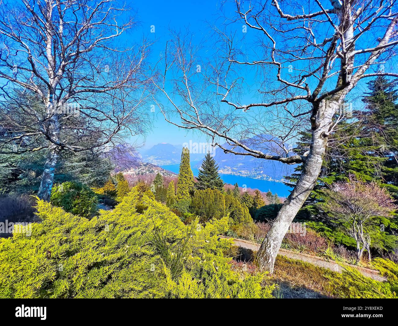 Explore mountain Parco San Grato with different interesting plants ...