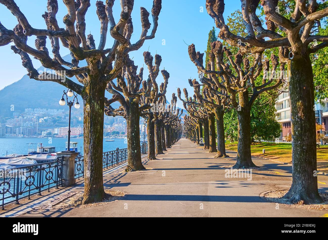 The alley of the lakeside Park of Sculptures, stretching along ...