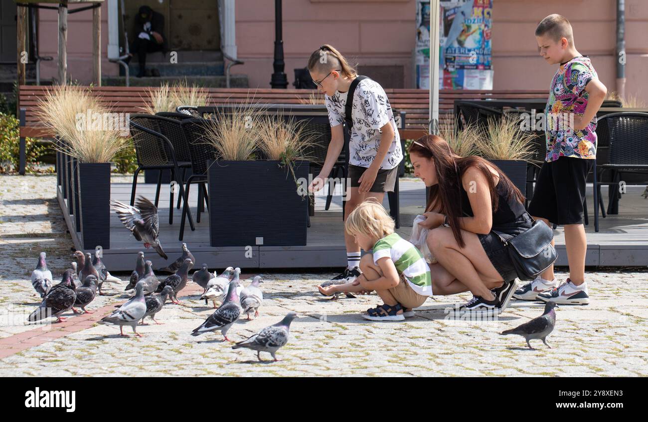 Pigeons family children walk hi-res stock photography and images - Alamy