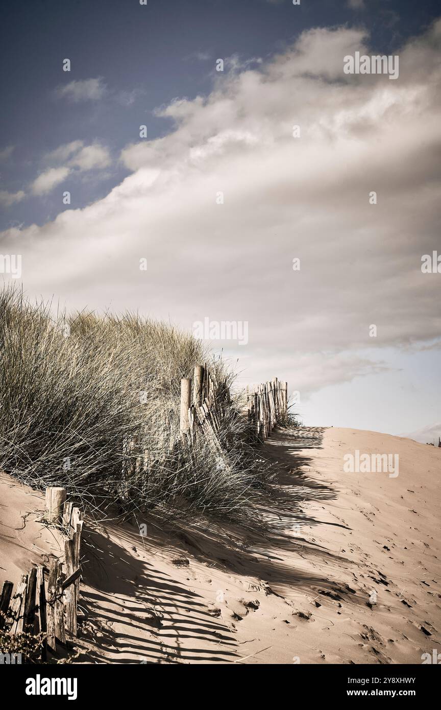 Protected coastal dunes on the Fylde coast,UK Stock Photo - Alamy