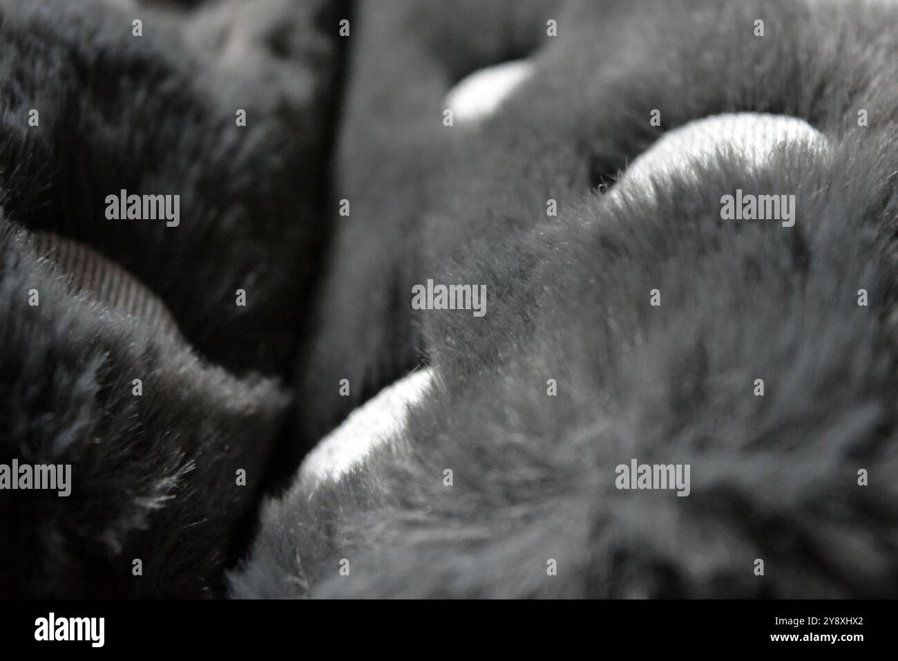 Unusual soft, woolen, fabric background. Bright gray, pleasant fluffy ...