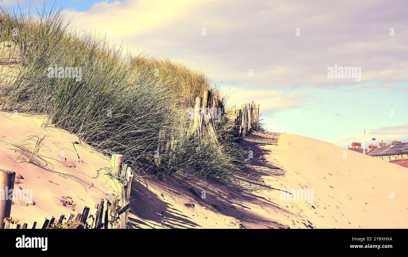 Protected coastal dunes on the Fylde coast,UK Stock Photo - Alamy