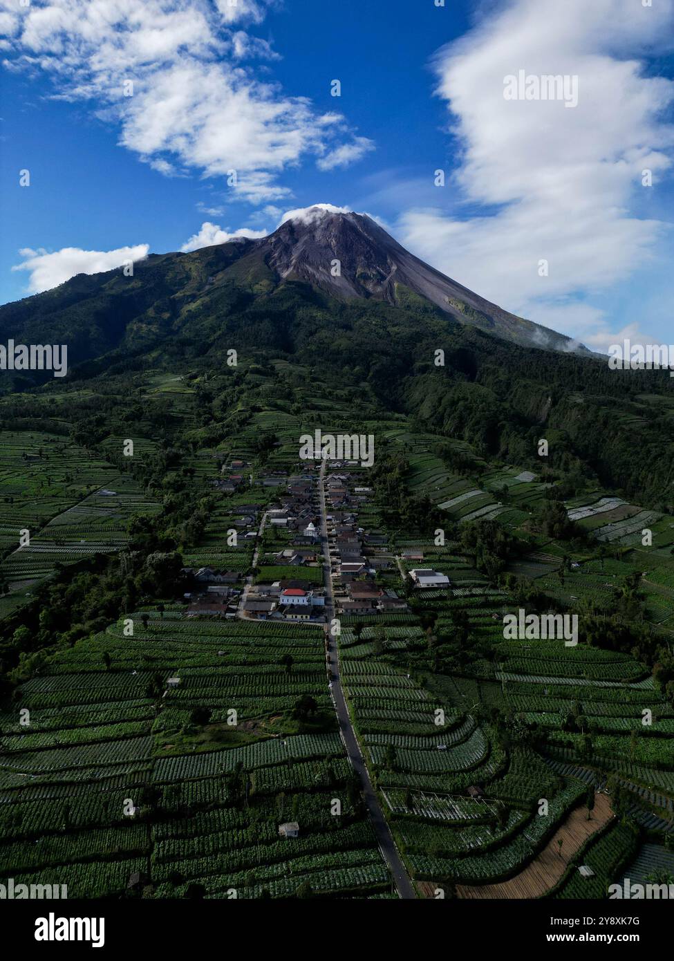 Vertical drone, the houses in Stabelan Village surrounded by ...