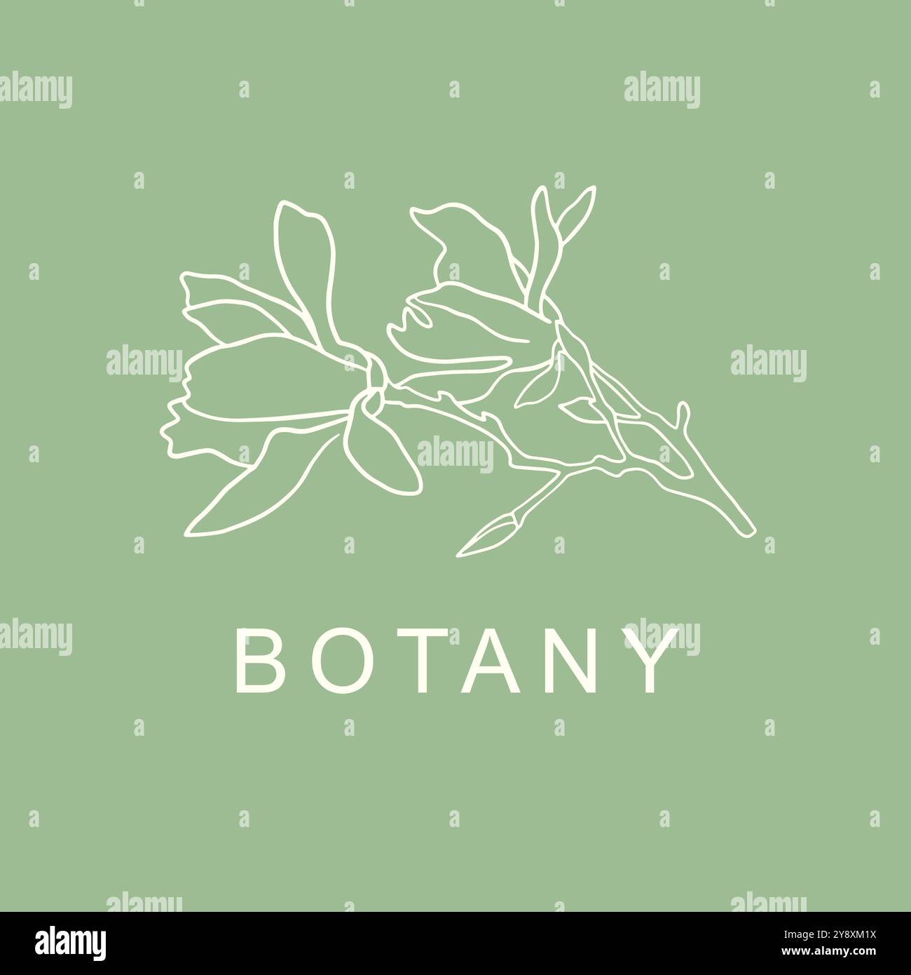Botany Outline Logo Floral Art Emblem Flower Shop Stock Vector Image ...