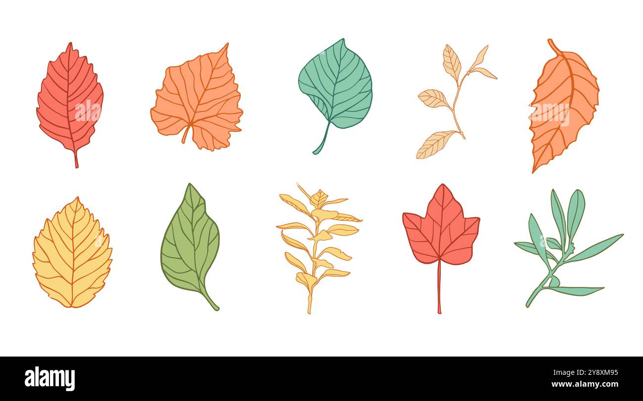 Autumn Leaves Vector Drawing Sketch Set Fall Leaf Stock Vector Image ...