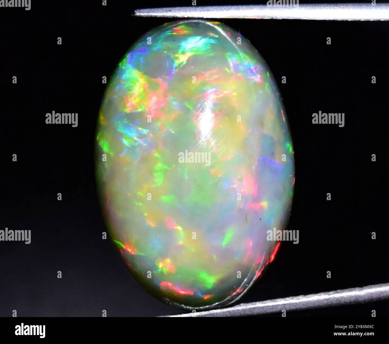 Iridescent radiance hi-res stock photography and images - Alamy