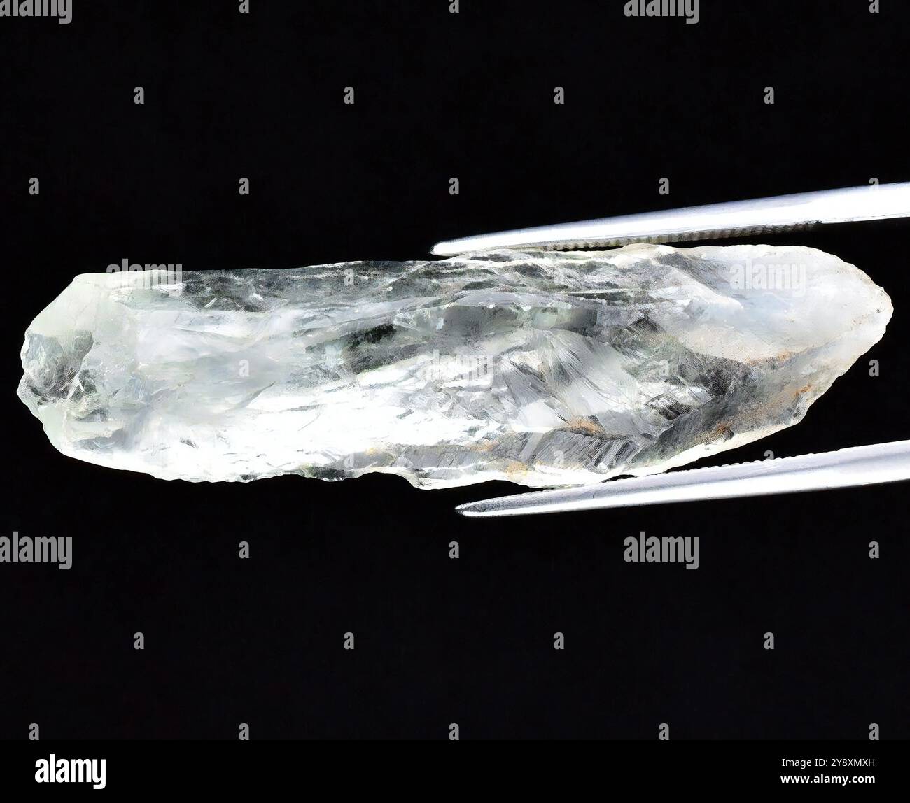 Highlighted specimen hi-res stock photography and images - Alamy