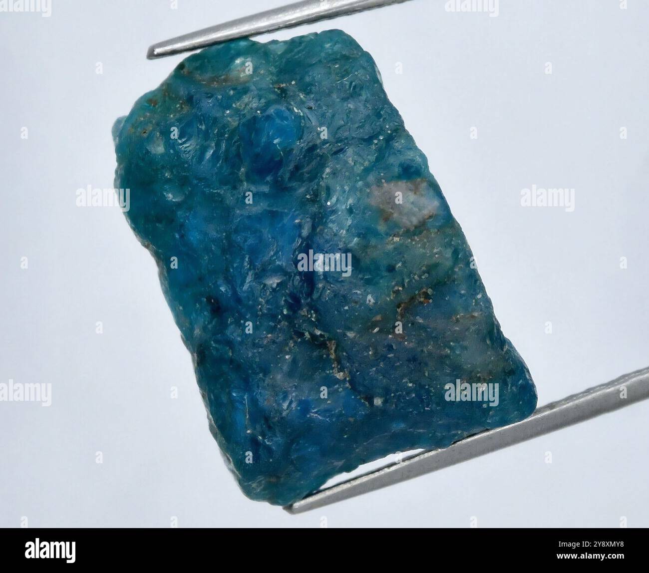 Captivating specimen of nature hi-res stock photography and images - Alamy