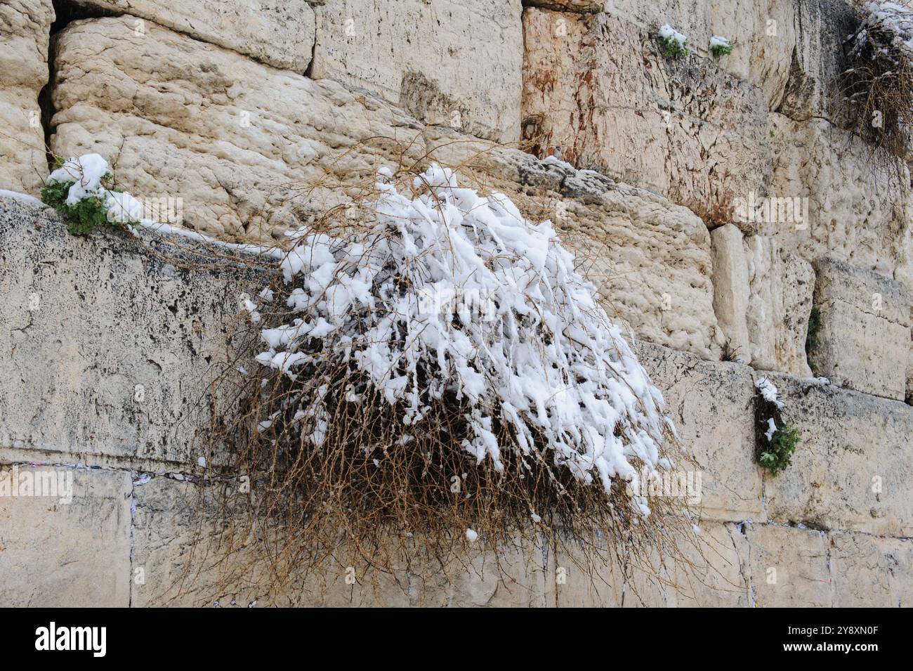 The Western Wall dusted with powdery, white snow and frost following a ...