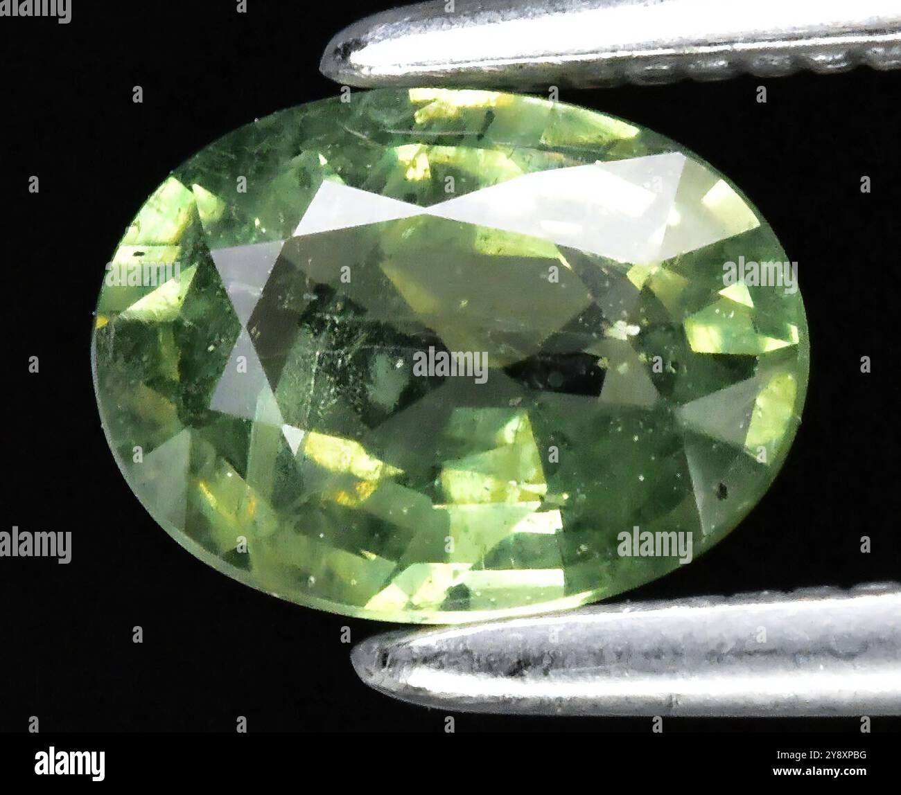 Rich green coloration hi-res stock photography and images - Alamy