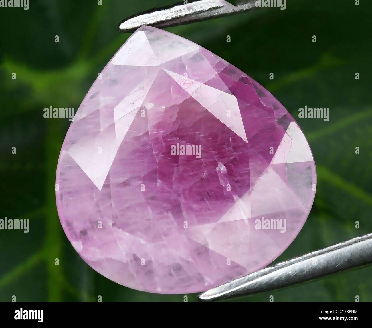 Radiant Pink Gemstone Captured in Detail Stock Photo - Alamy