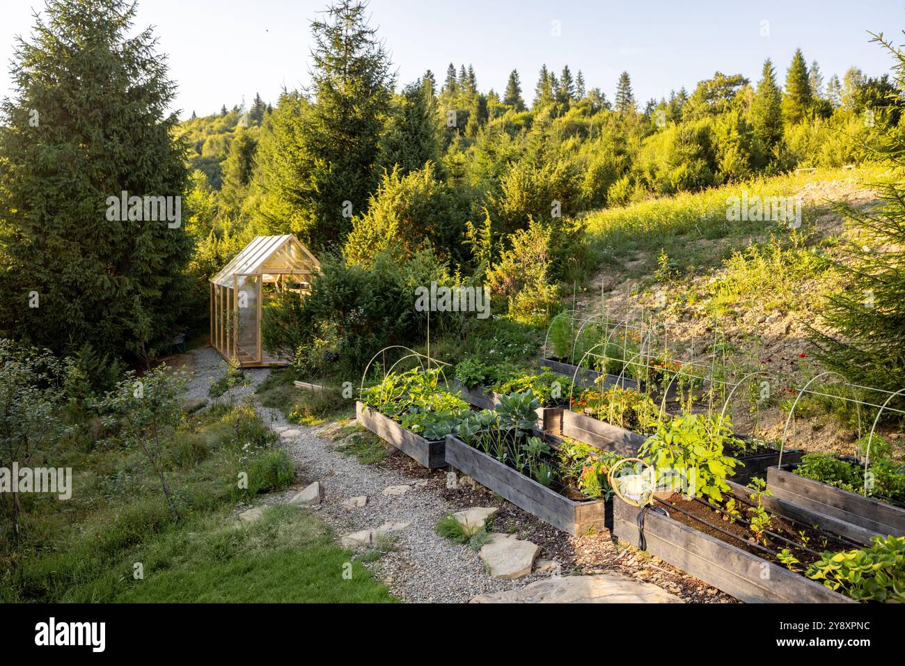 Sunny Garden with Greenhouse and Raised Beds Stock Photo - Alamy