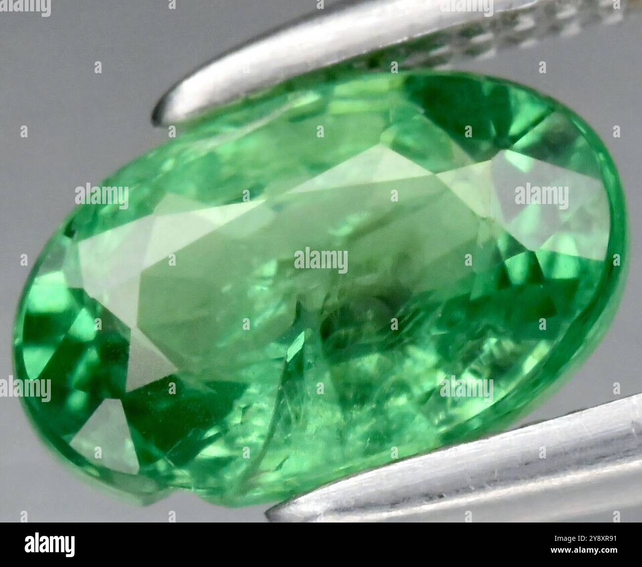 Radiant Green Gemstone Glimmering Under Soft Light Stock Photo - Alamy