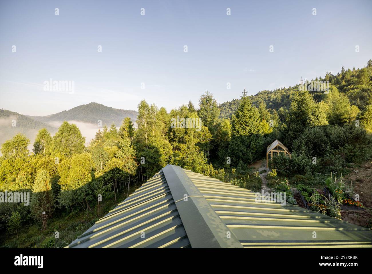 Green Roof Overlooking a Forested Valley Stock Photo - Alamy