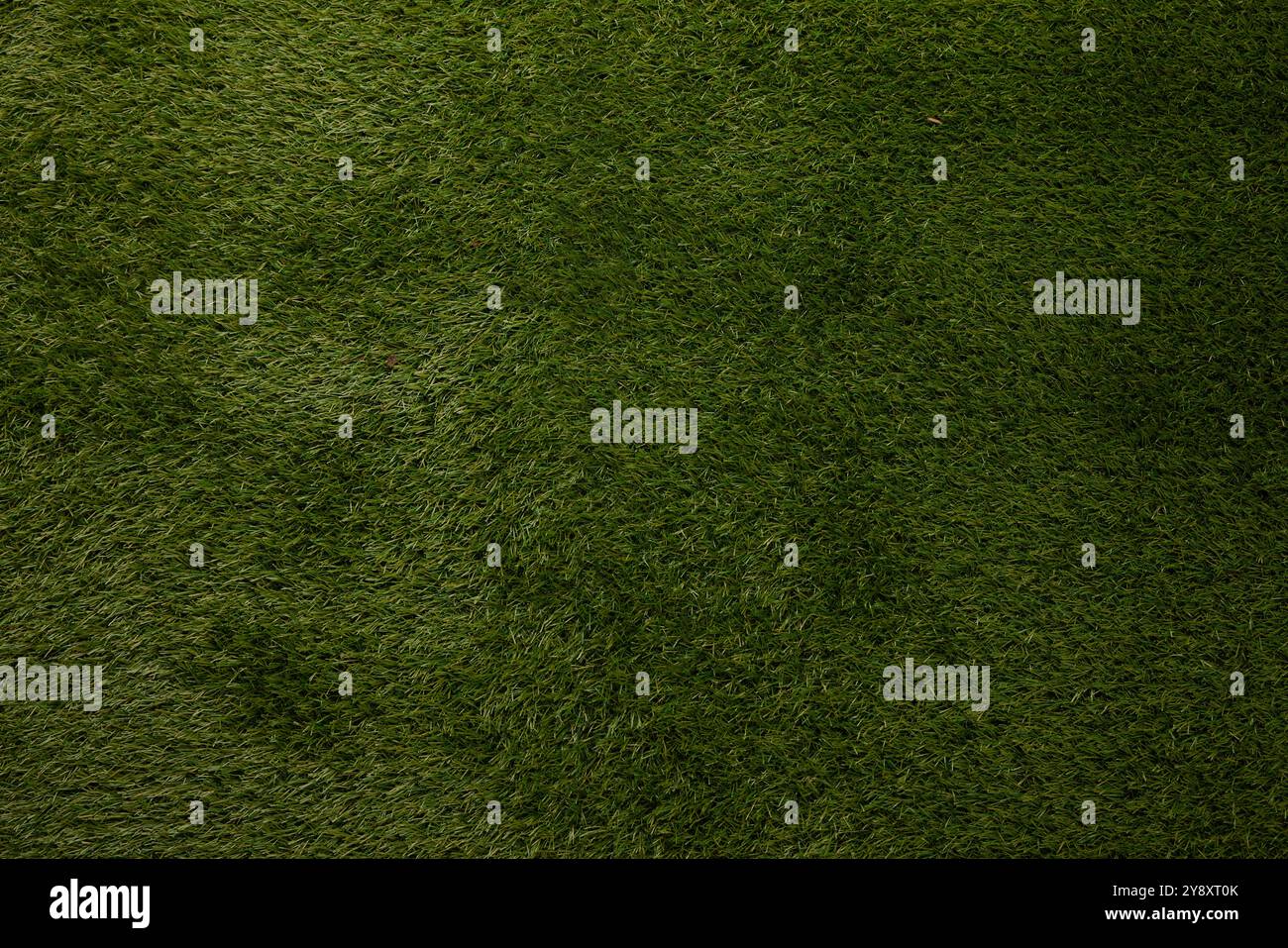 Grass is a green, leafy groundcover made up of thin blades that grow ...