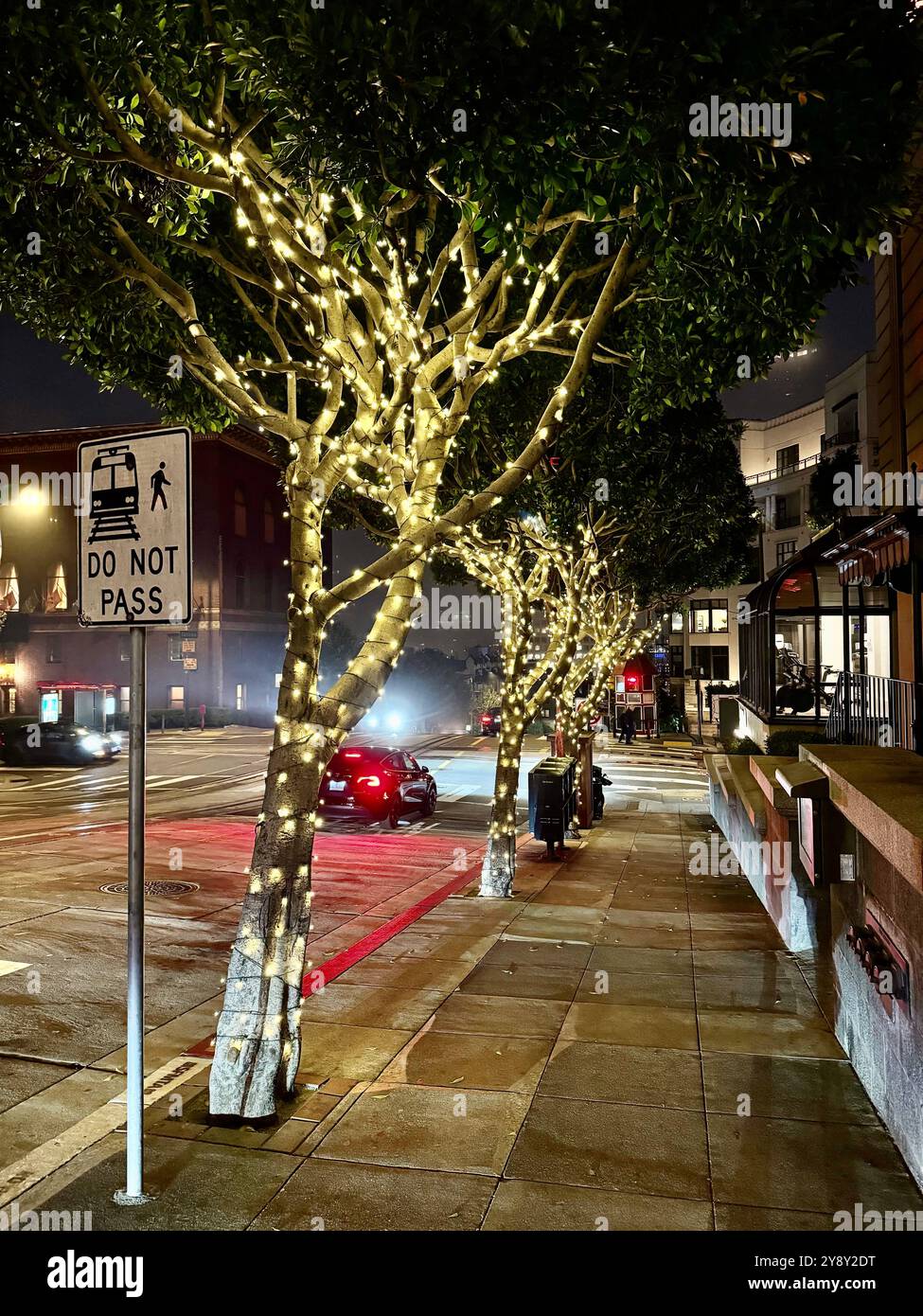 Festive lights on trees bright hi-res stock photography and images - Alamy