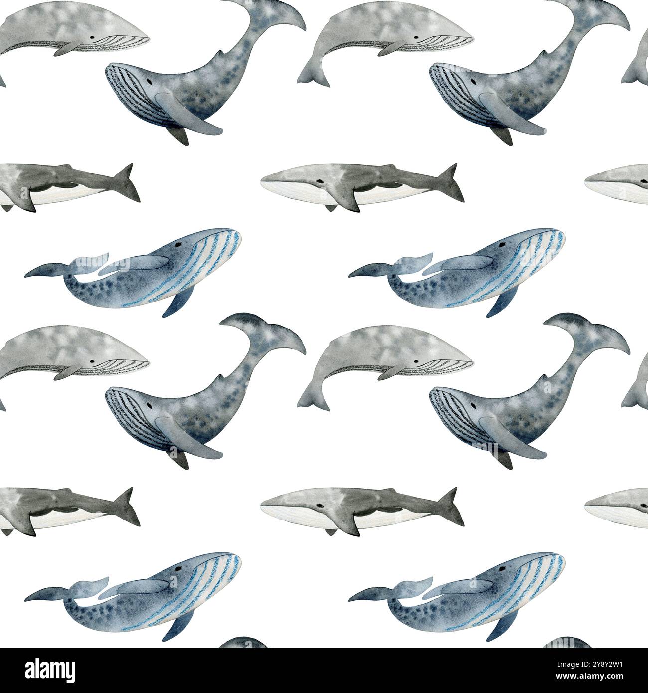 Killer whale pattern Cut Out Stock Images & Pictures - Alamy