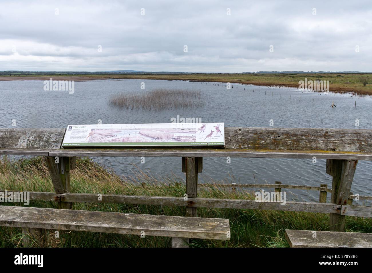 Farlington Marshes nature reserve near Portsmouth, Hampshire, England ...
