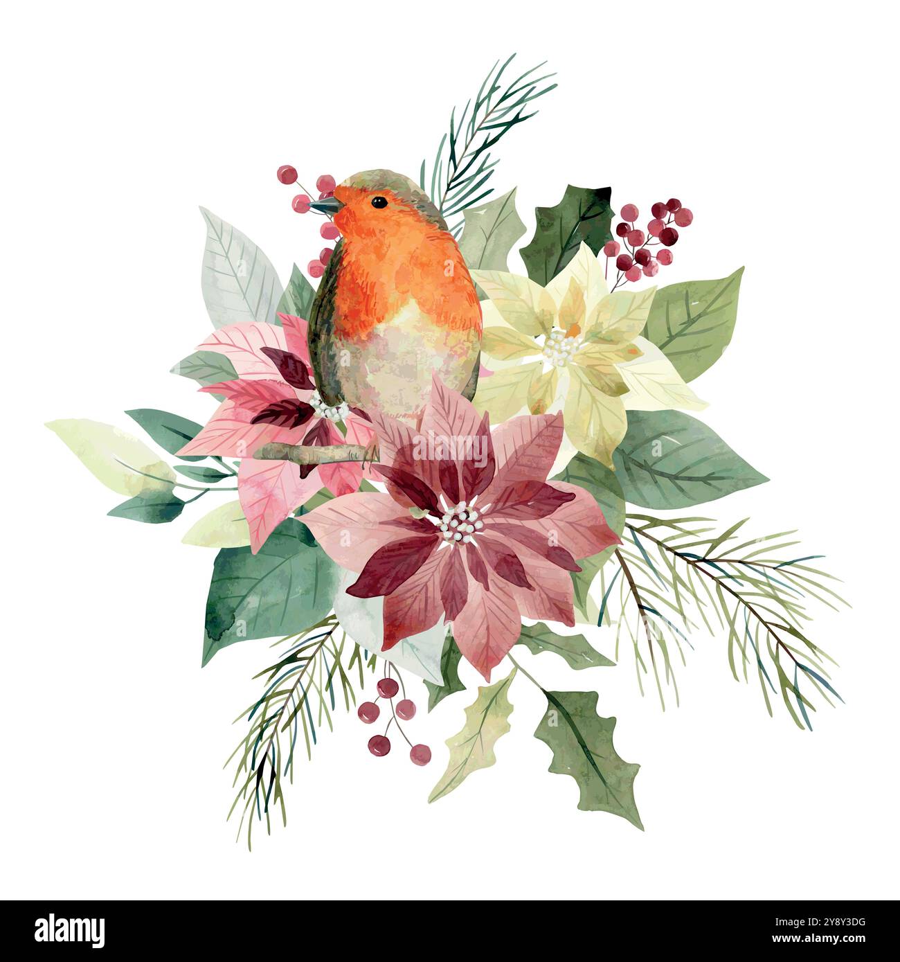 Vector watercolor christmas bouquet with poinsettia and robin. Isolated ...