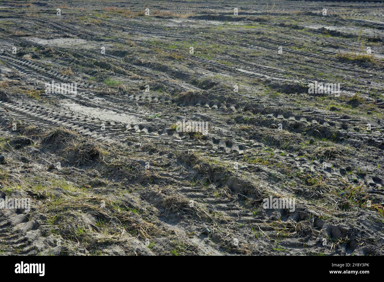 Unusual backgrounds, a drawing from the wheels of a passing ...