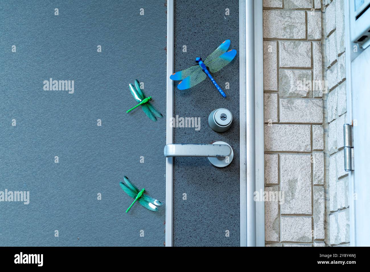 Dragonfly mosquito and insect repellent on the door of a house Stock ...