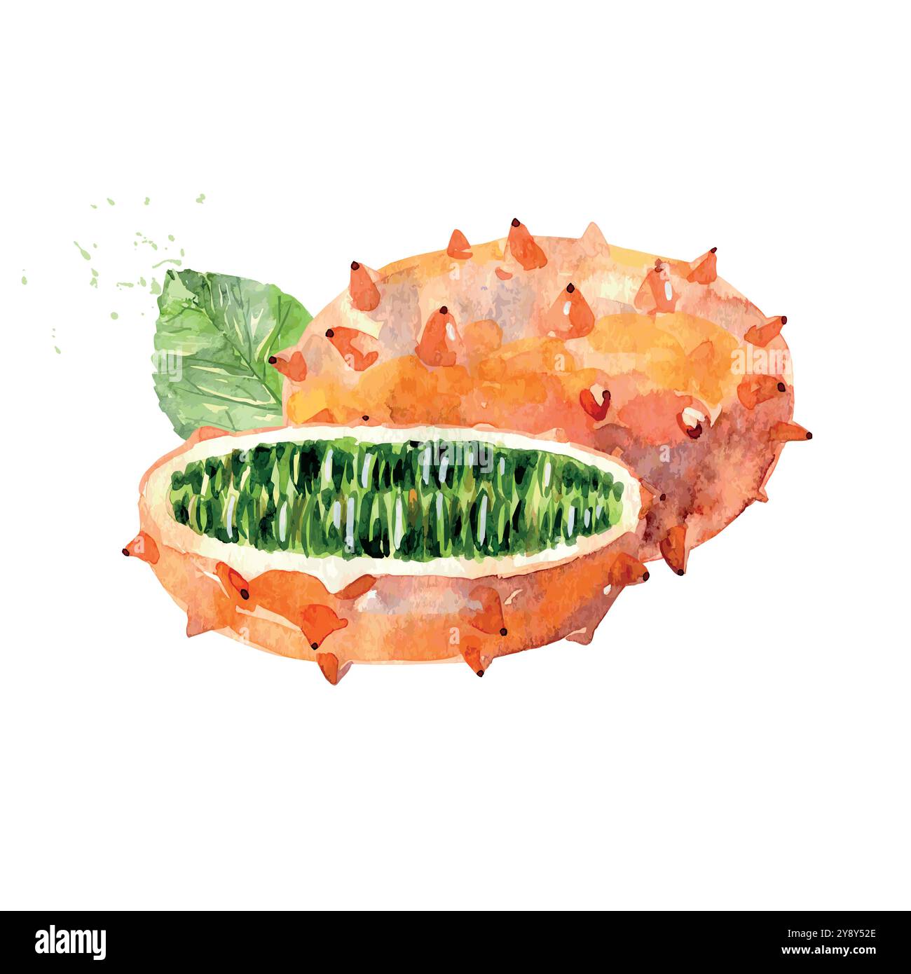 Hand Drawn Watercolor kiwano Fruit. Vector illustration Stock Vector ...