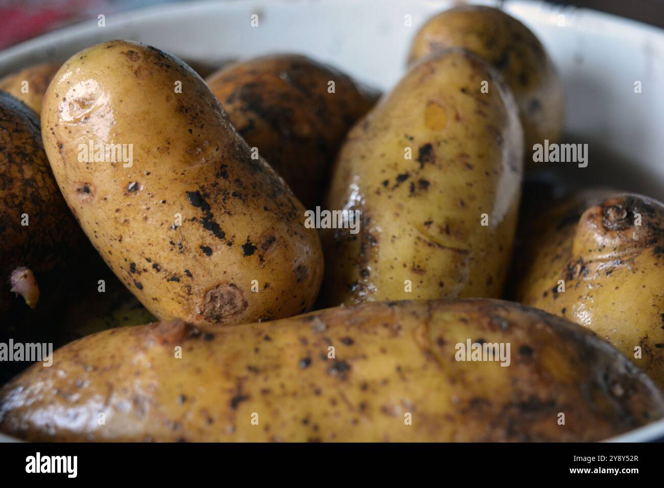 Food, cooking, healthy vegetables and fruits. Beautiful clean, washed ...