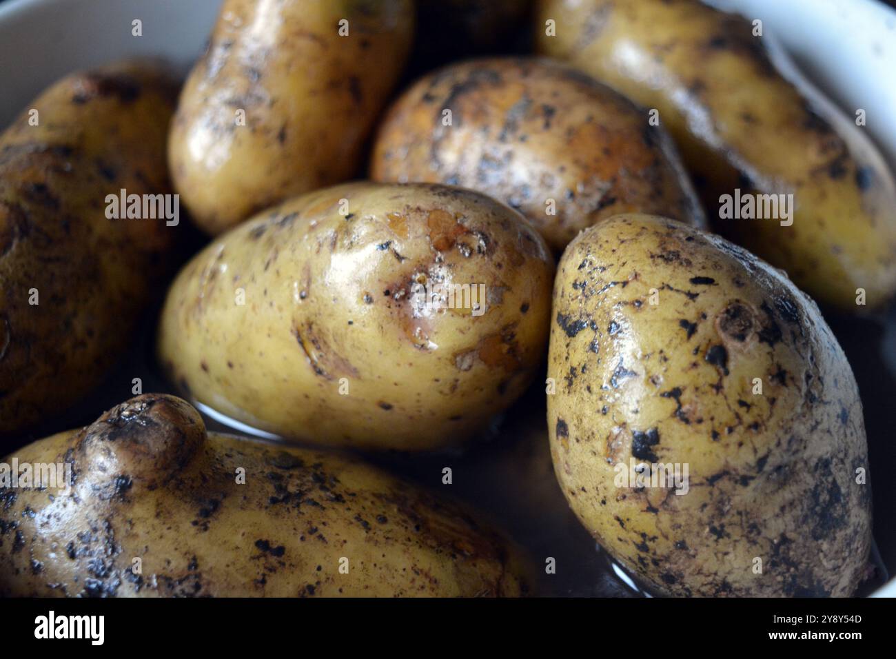 Food, cooking, healthy vegetables and fruits. Beautiful clean, washed ...