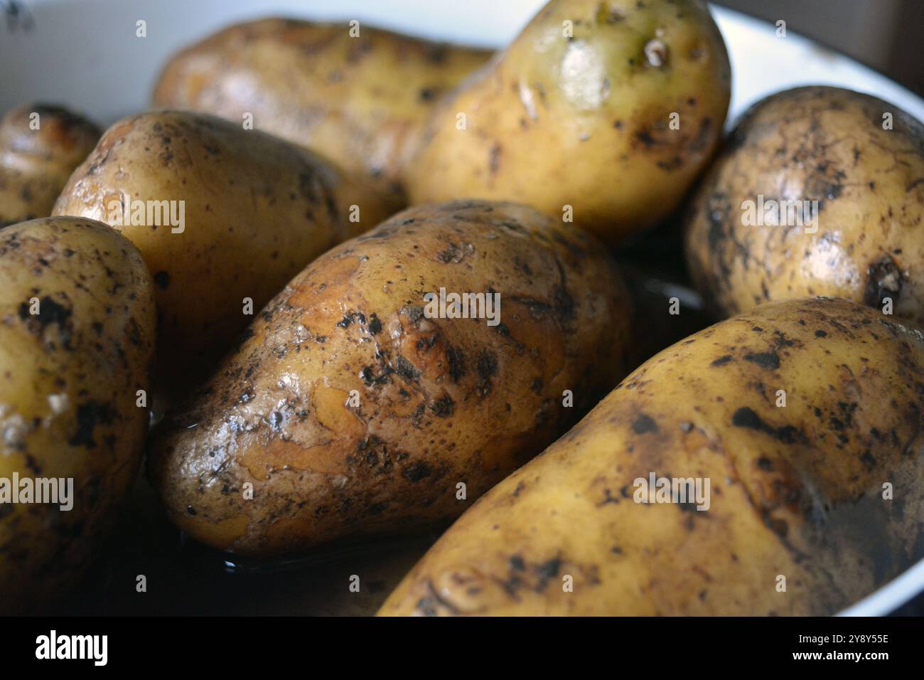 Food, cooking, healthy vegetables and fruits. Beautiful clean, washed ...