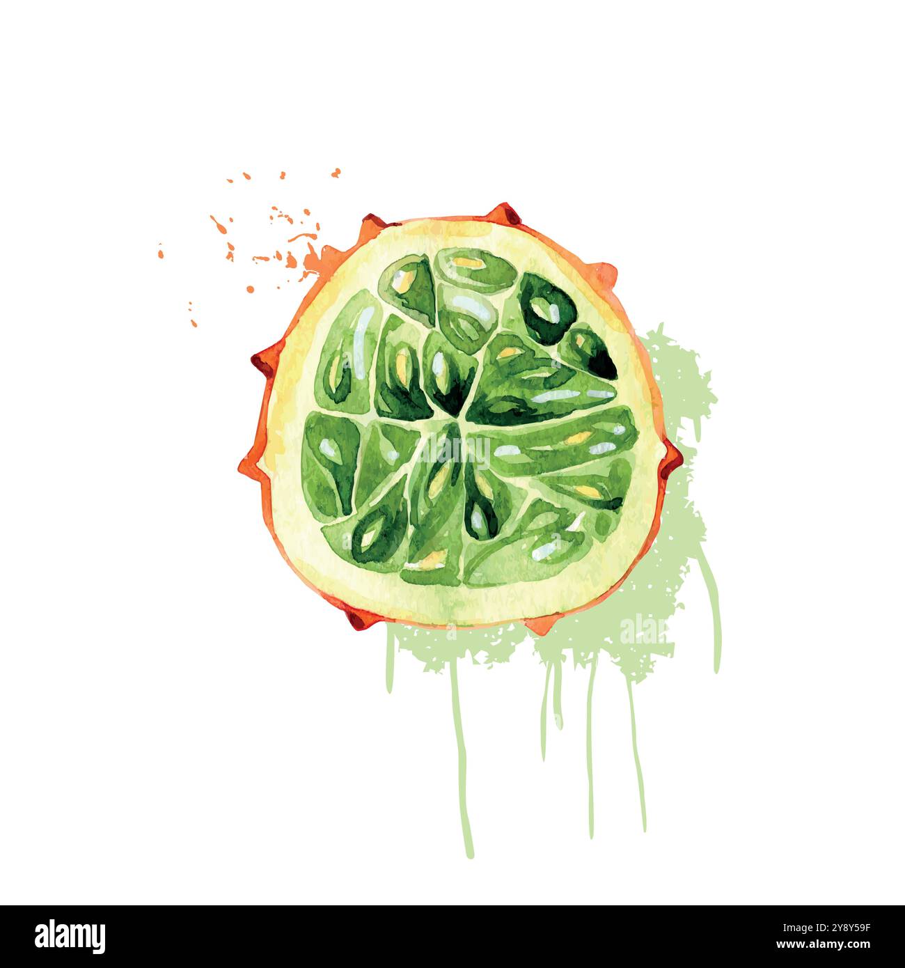 Hand Drawn Watercolor kiwano Fruit. Vector illustration Stock Vector ...