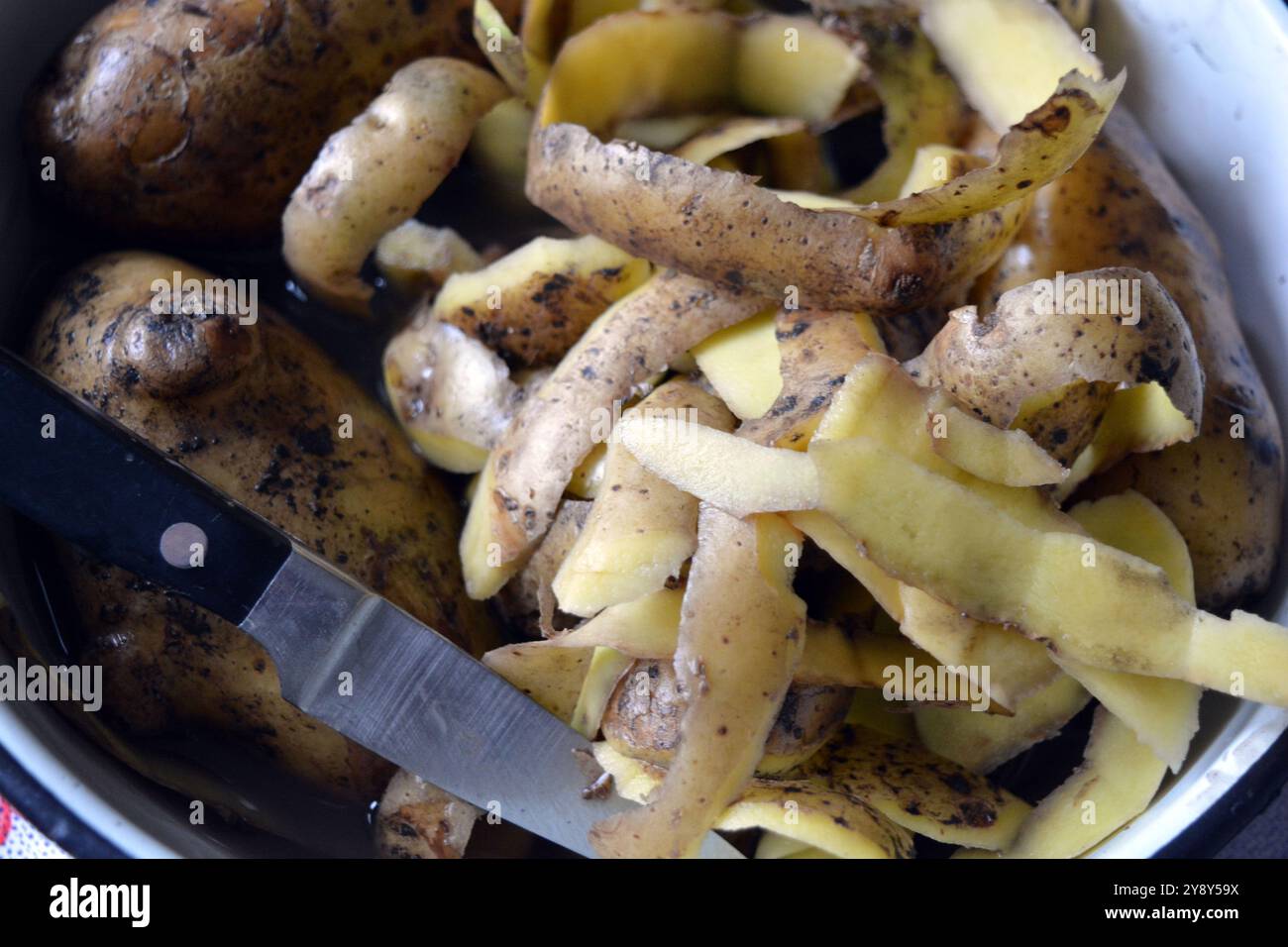 Food, cooking, wholesome and healthy vegetables. Beautiful clean ...