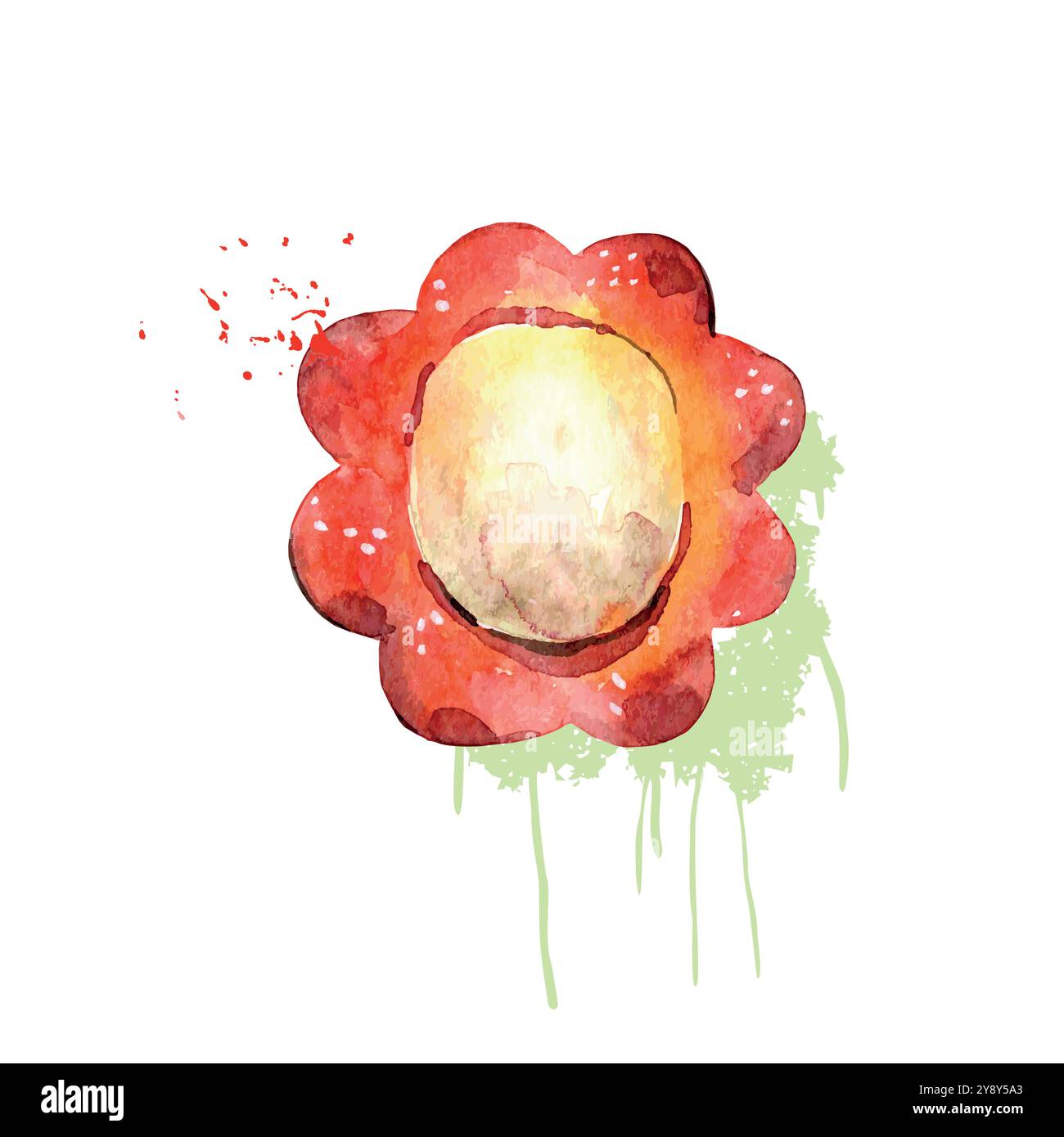 Hand Drawn Watercolor pitanga Fruit. Vector illustration Stock Vector ...