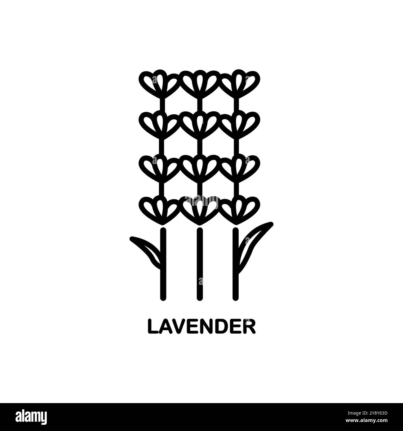 Lavender icon. Trendy modern flat linear vector Lavender icon on white background from thin line ...