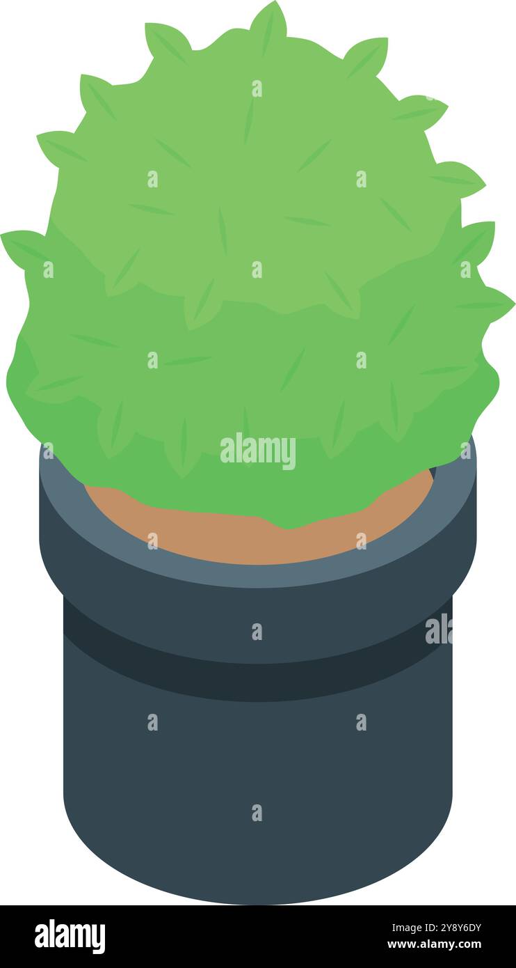 Illustration of a round bush growing in a pot, isometric view Stock ...