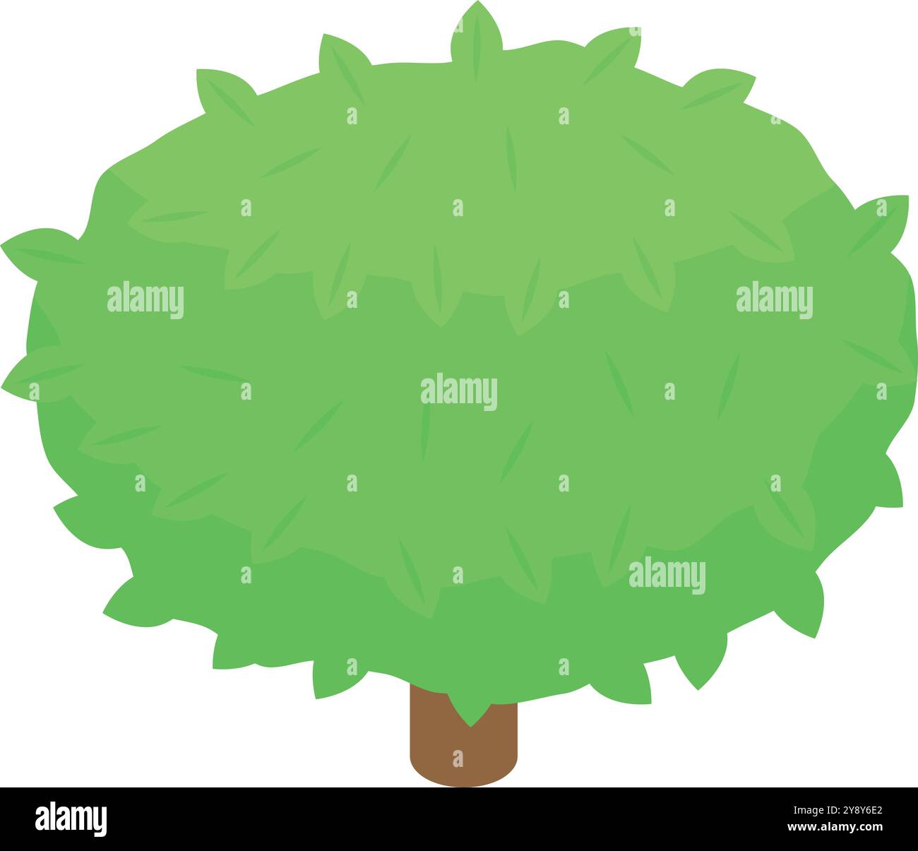 Cartoon tree with a round shape is growing dense foliage Stock Vector ...