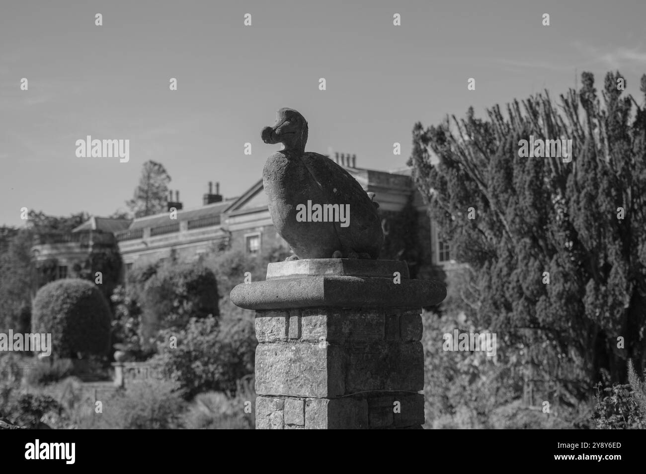 Dodo garden sculpture hi-res stock photography and images - Alamy