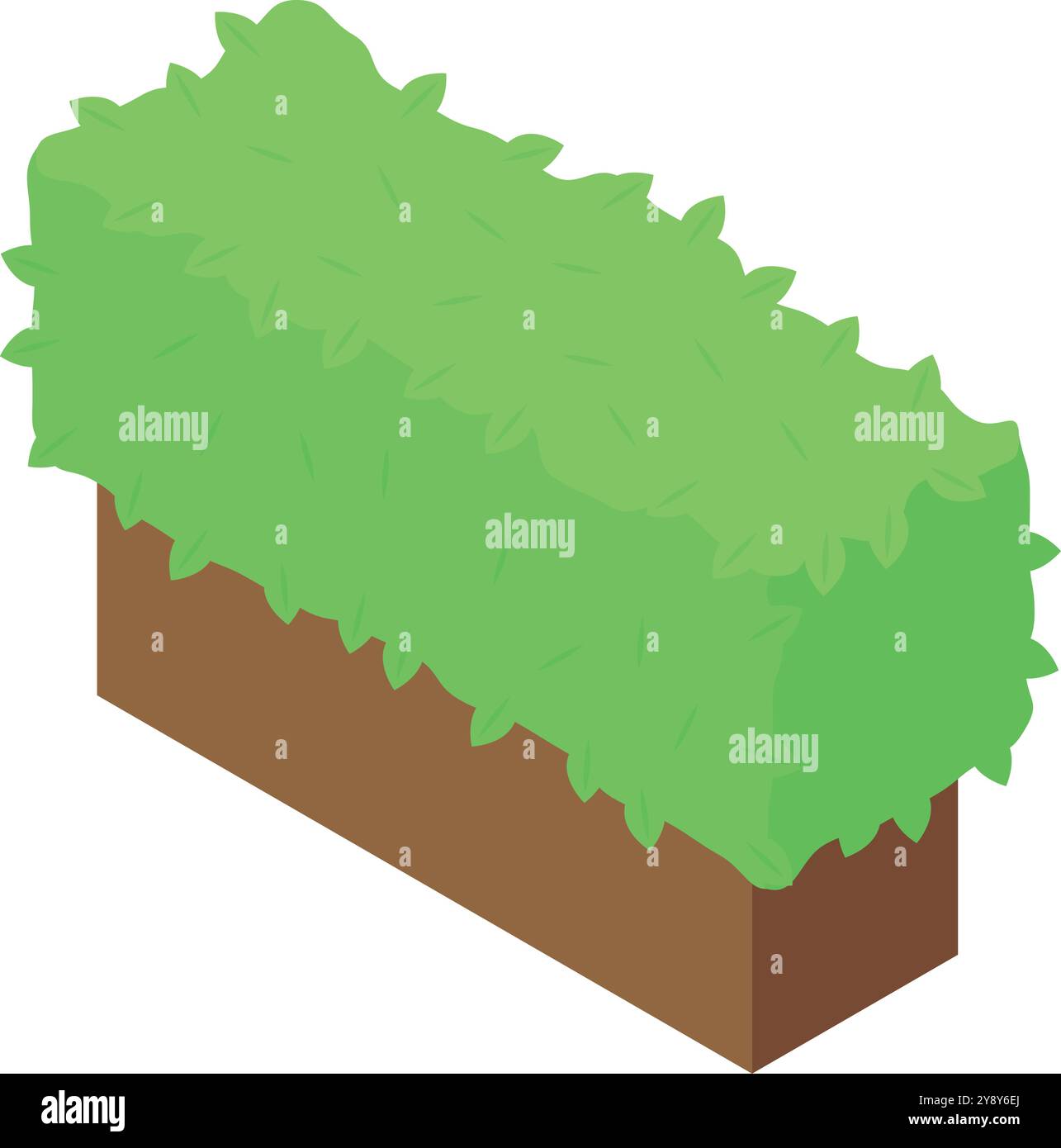 Green bush growing from wooden planter isometric view isolated on white ...