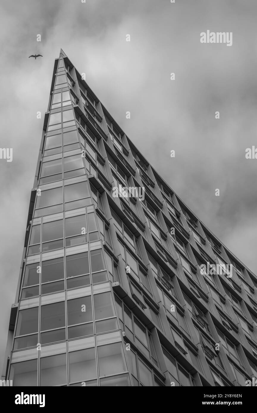 Bird flat Black and White Stock Photos & Images - Alamy