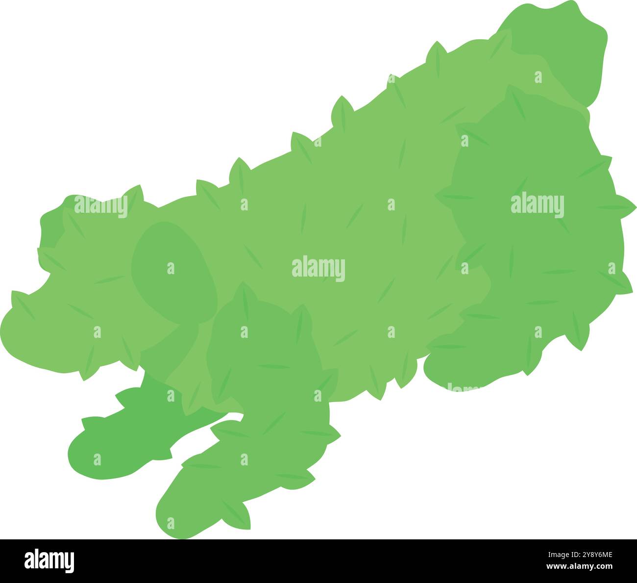 Green spiky bush growing in unusual shape resembling a lying animal ...